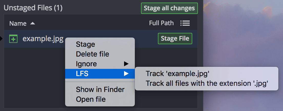 Git Lfs In Gitkraken Desktop Store Binary Files 