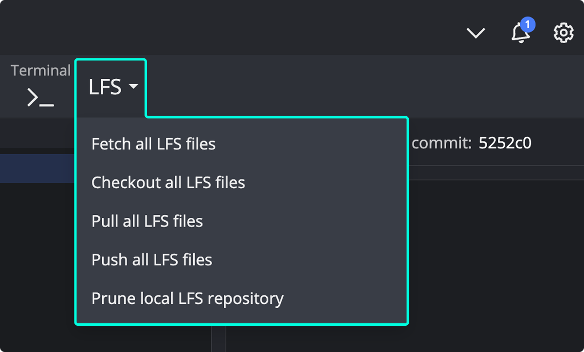 Git LFS in GitKraken Desktop | Store Binary Files