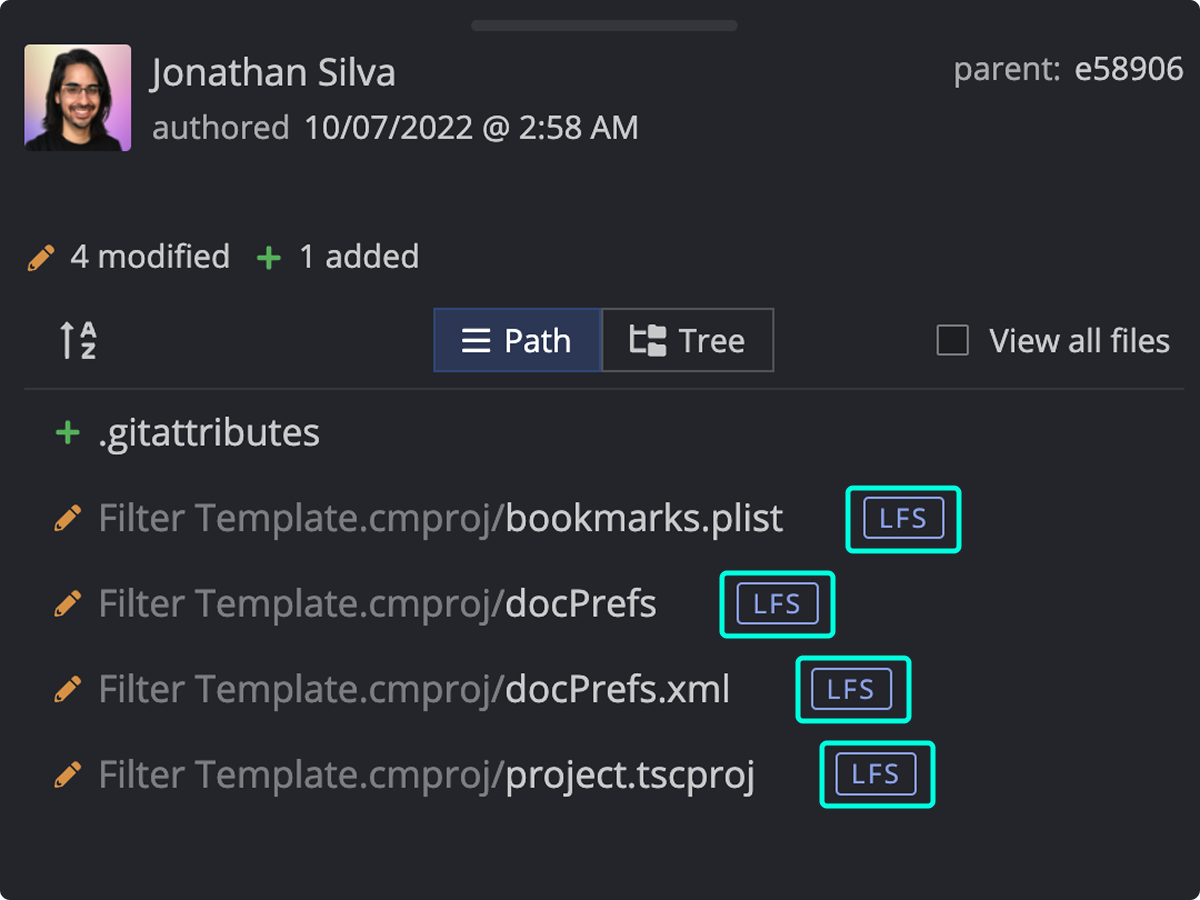 Git LFS in GitKraken Desktop | Store Binary Files